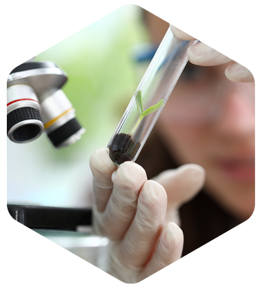 Our Vision - Bio-intensive - Medinbio